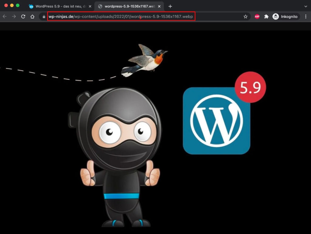 5 Schritte: WebP Bilder in WordPress für kürzere Ladezeit!